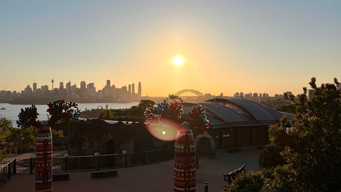 Taronga Zoo Wildlife Retreat Review: Staying Overnight at Sydney’s Most ...